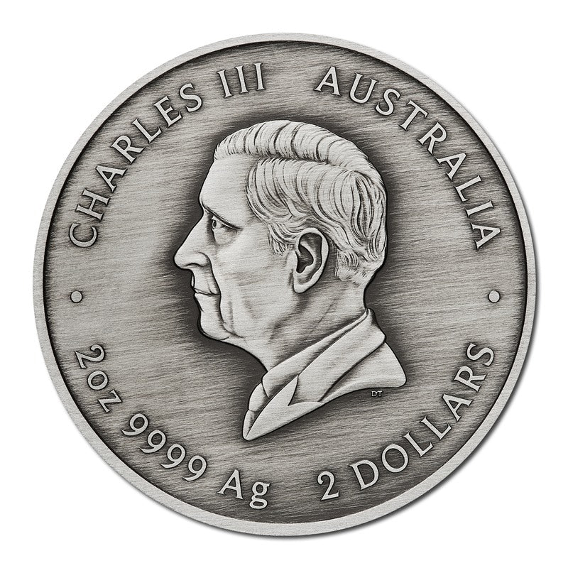 2024 Kookaburra Kaa Kaa 2oz Silver Antiqued Coloured Coin – M.R.Roberts ...