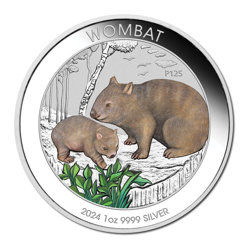 2024 Wombat 1oz Silver Coloured in Card – M.R.Roberts - Wynyard Coin Centre