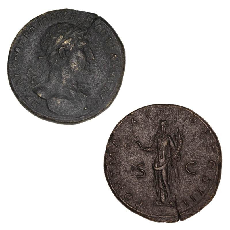 Ancient Roman Domitian 81-96AD Bronze Sestertius nEF - Wynyard Coin ...