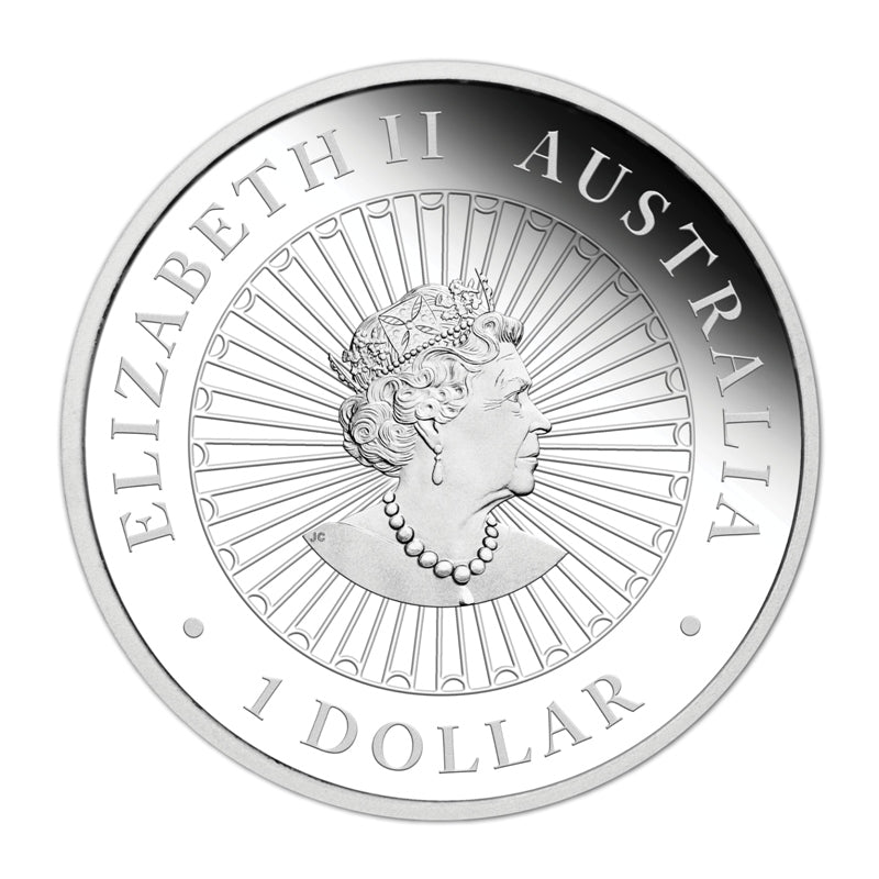 2019 Australian Opal Lunar Pig 1oz Silver Proof - Wynyard Coin Centre ...